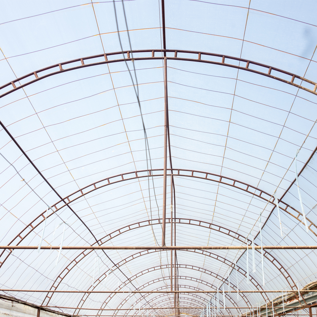 Greenhouses – structures - ECOPAINT Corporation